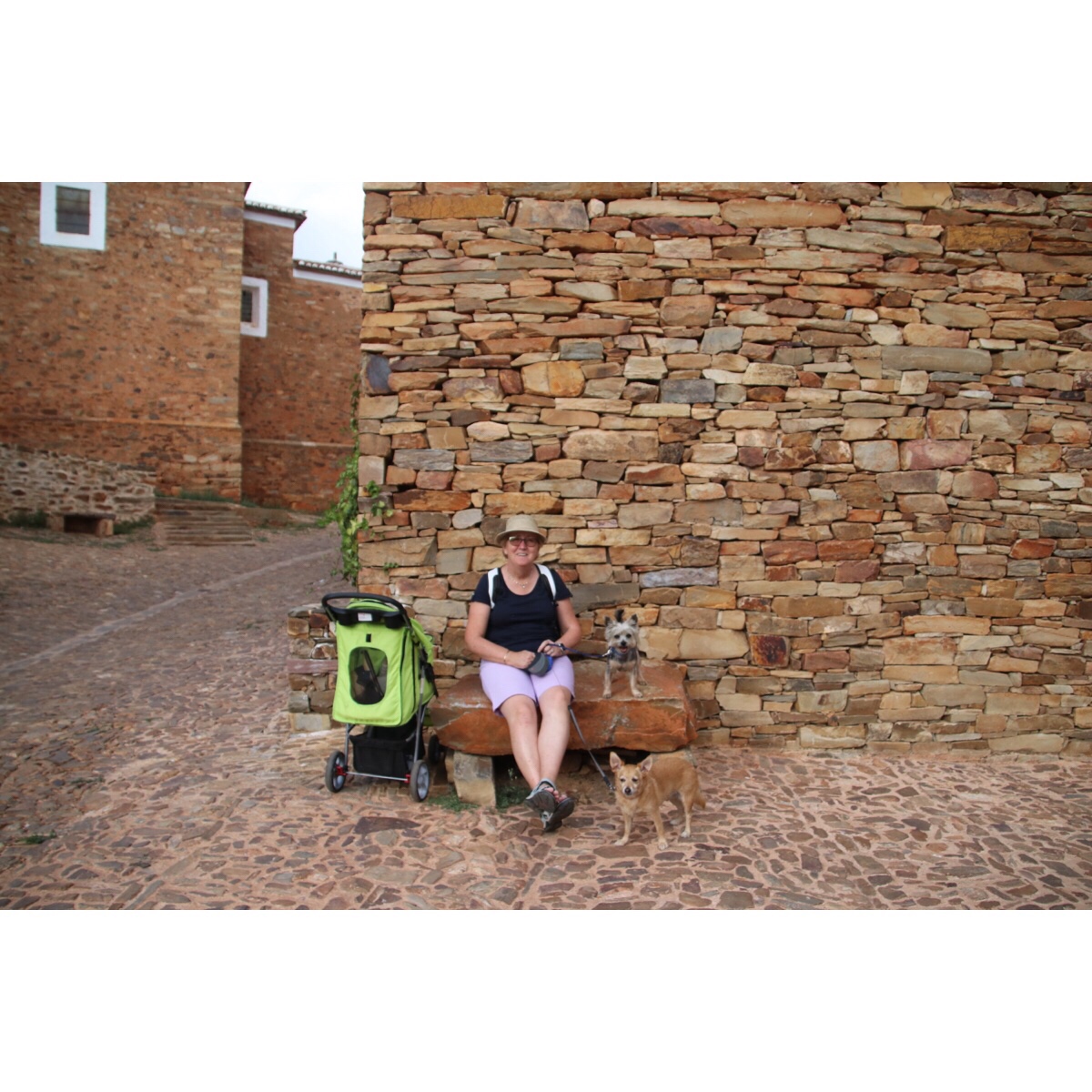 file-63824b22-5cbe-44fd-8aea-d7e614fd2658-1921-000000d55e959b1c – Mutts ...